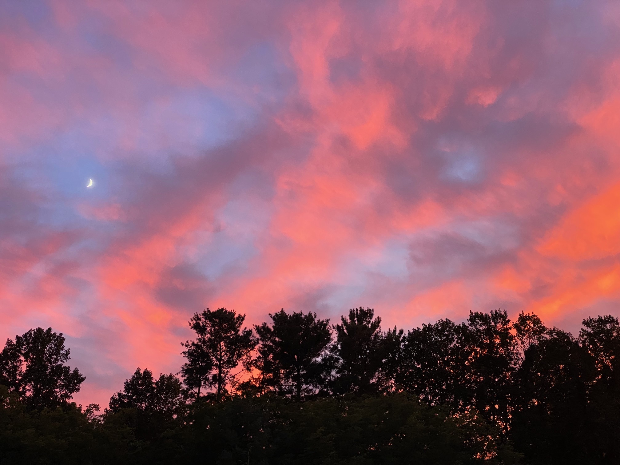 Cotton Candy Skies – LoriLoo